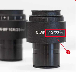 Understanding Stereo Microscopes - Microscope World