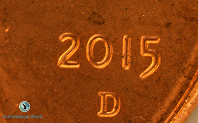 Types of Microscopes - Microscope World