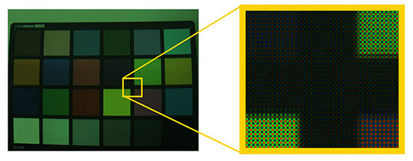 Monochrome Microscopy Cameras and their Benefits