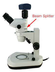 Microscope Beam Splitter - Microscope World