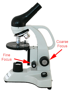 Functions of Fine and Coarse Adjustment Knobs in Microscopes ...
