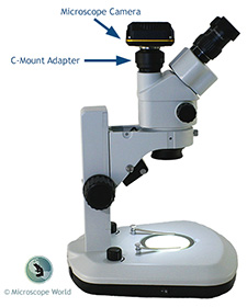Choosing a College or University Level Microscope - Microscope World