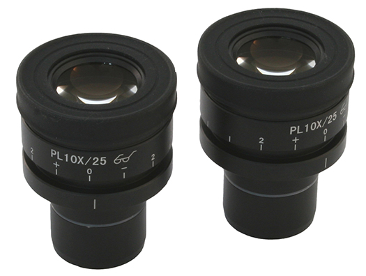 How to Adjust Focusing Microscope Eyepieces - Microscope World