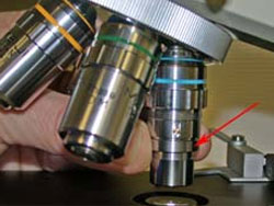 How to Parfocal Microscope Objectives | Microscope World Resources